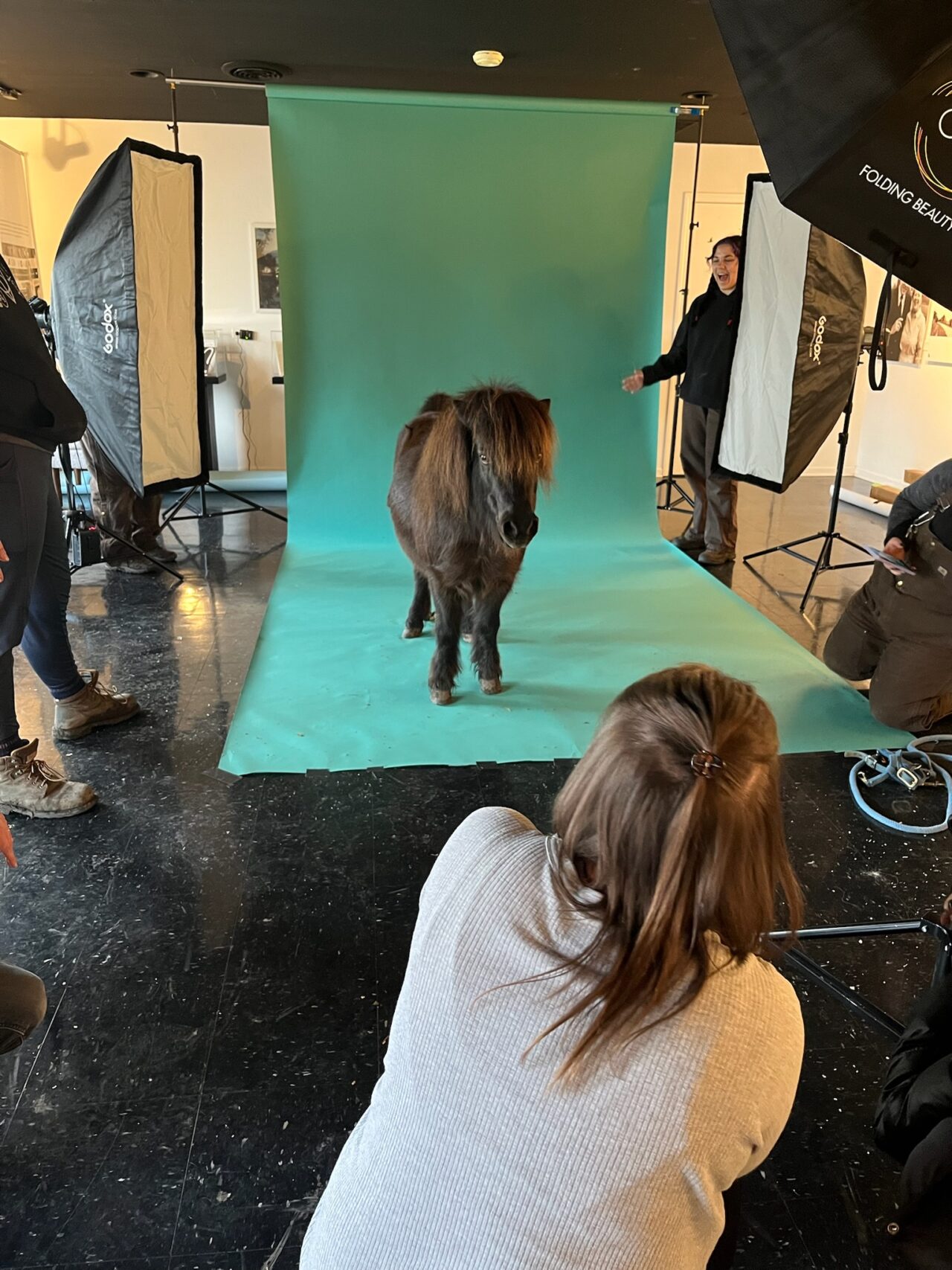 Photo Shoot on the Farm - Lambs Farm