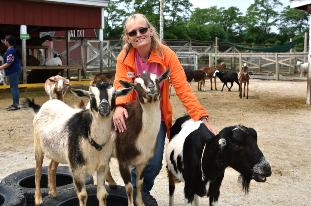 Lambs Farm - Lambs Farm