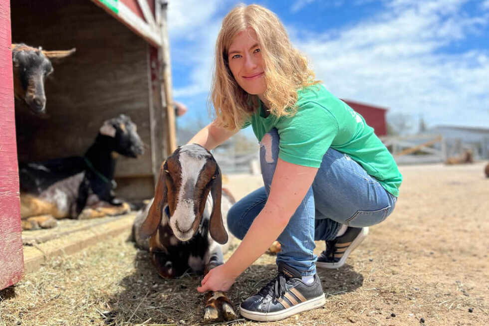 Businesses - Lambs Farm